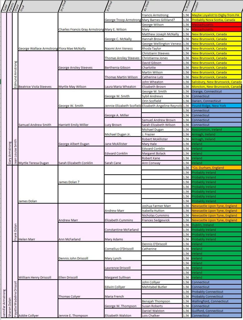 At A Glance Excel Pedigree Chart Ancestor Central At A Glance Excel Pedigree Chart Ancestor Central
